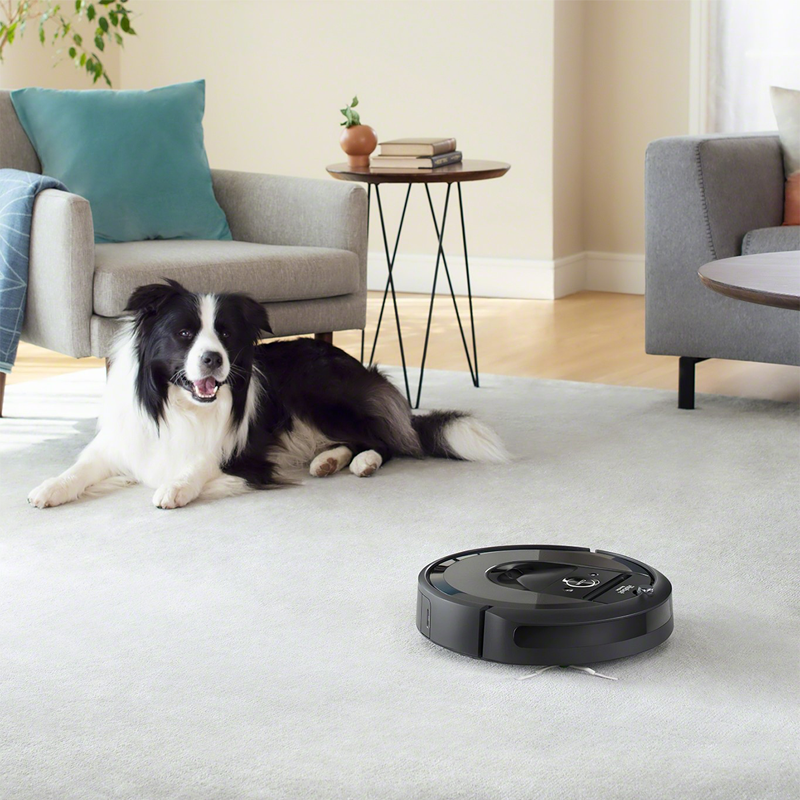iRobot LV